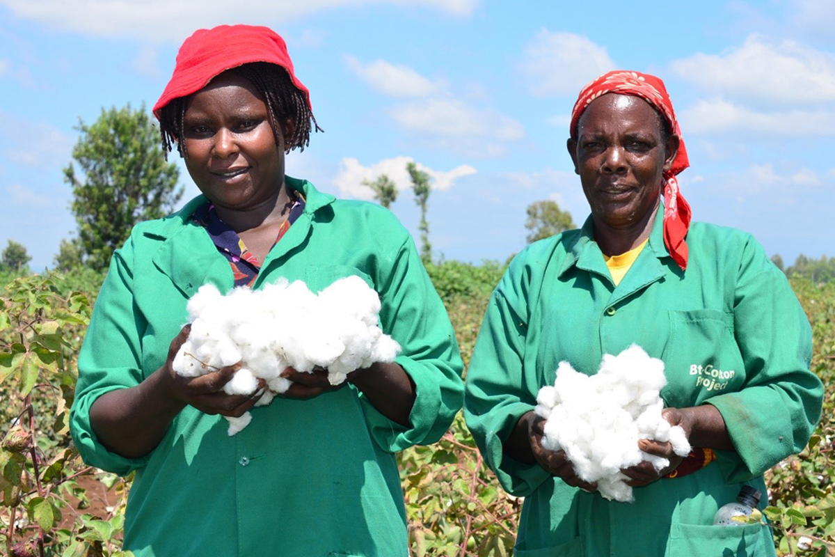 Smallholder Farmers’ Seed Rights Under Threat as CEFROHT Challenges ...